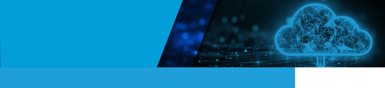 Neeco ICT SD-WAN & SASE Equipment