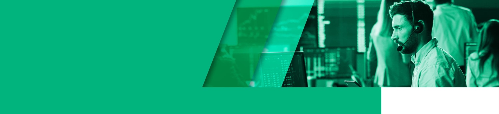 Neeco ICT Professional Services