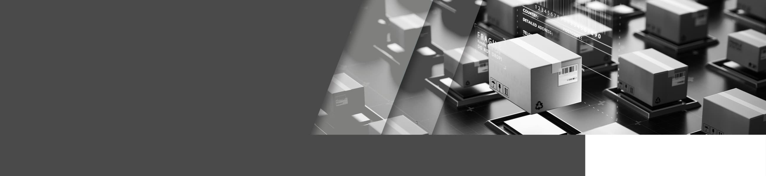 Neeco ICT Supply Chain